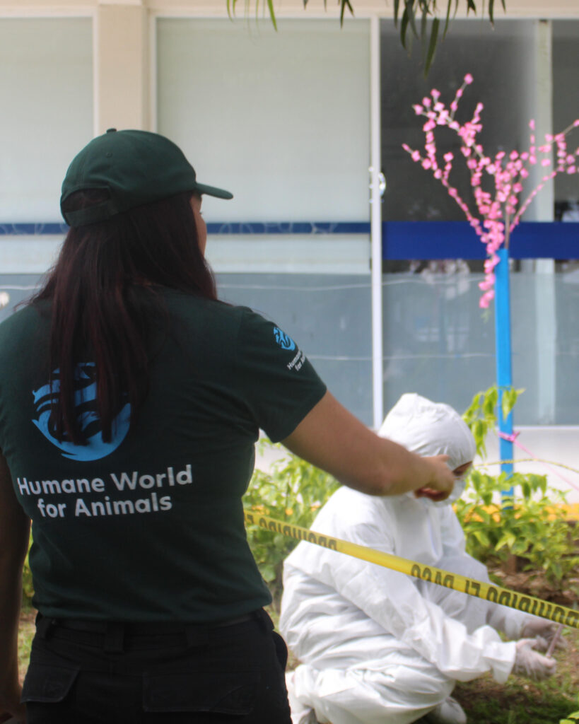 Capacitación interinstitucional en Aguascalientes - Prensa Animal